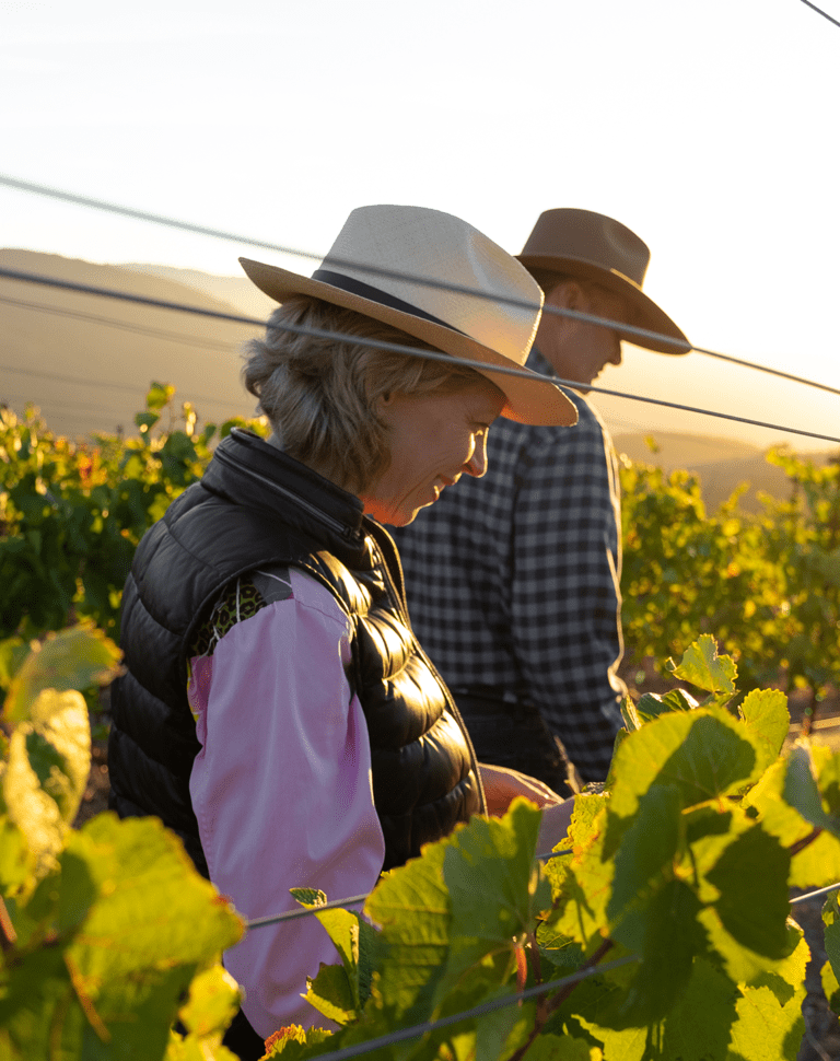 Our Story - Domaine Messier